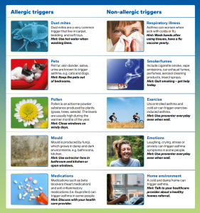 Asthma information - Asthma New Zealand